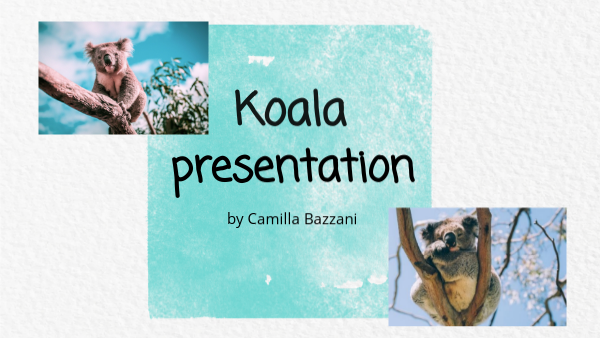 Koala presentation