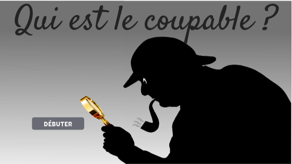 Sec3 _Qui est le coupable