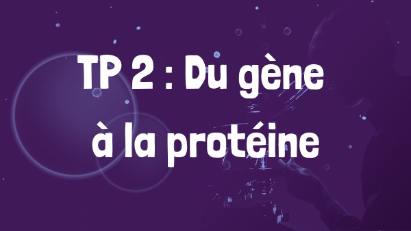 TP Du gène à la protéine avec geniegene | Genially