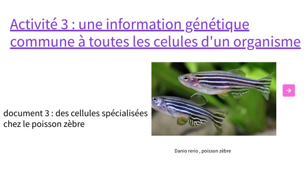 TUTORIEL GENIEGEN CHAP1 ACT 3