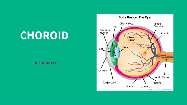 Choroid | Genially