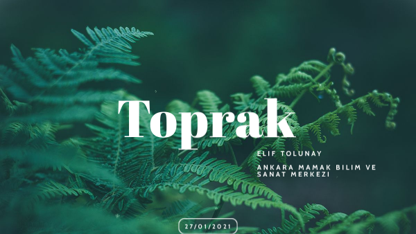 Toprak