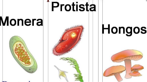Bio. Geo. proyect | Genially