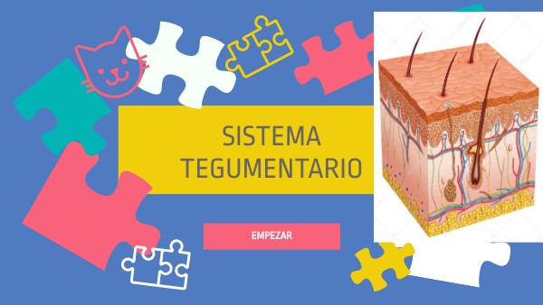 Sistema Tegumentario | Genially