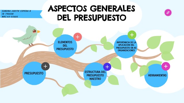 INFOGRAFIA ASPECTOS GENERALES DEL PRESUPUESTO | Genially