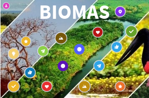 BIOMAS | Genially