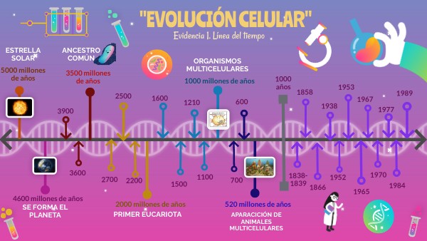 Evolución celular | Genially
