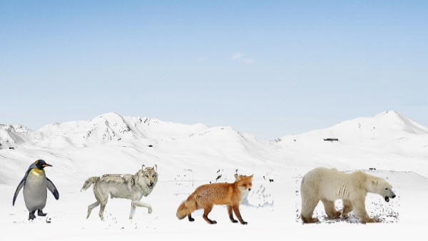 Séance 3/12 devant/derrière, avant/après | Genially