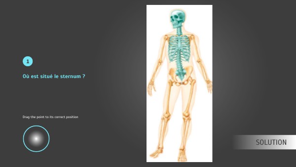 LE SQUELETTE AXIAL | Genially