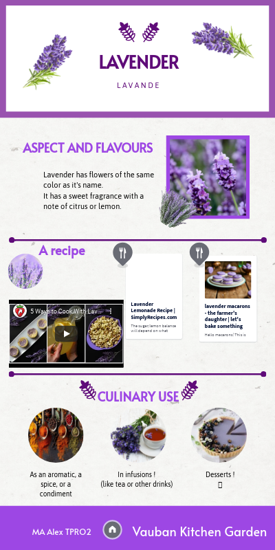 Lavender Vauban Kitchen Garden