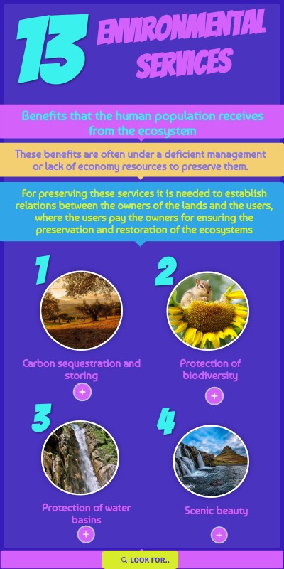 Copy - SD T13 - Environmental Services | Genially