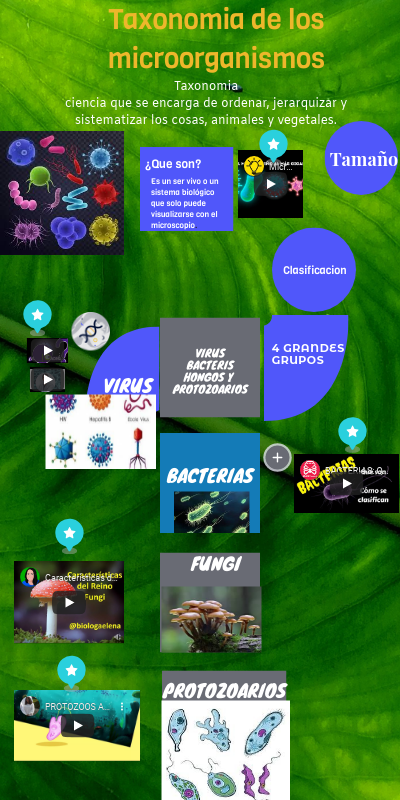 taxonomia de los microorganismos | Genially