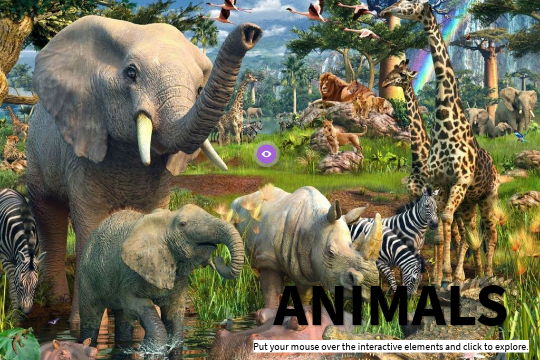 Animals - primary school