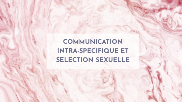 Communication Intra Spécifique Et Sélection Sexuelle Seconde