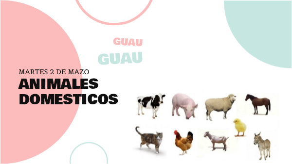 LOS ANIMALES DOMESTICOS | Genially