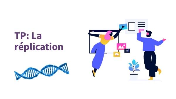 TP la réplication | Genially