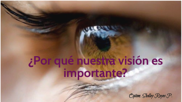 MISIÓN DE LA OPTOMETRIA