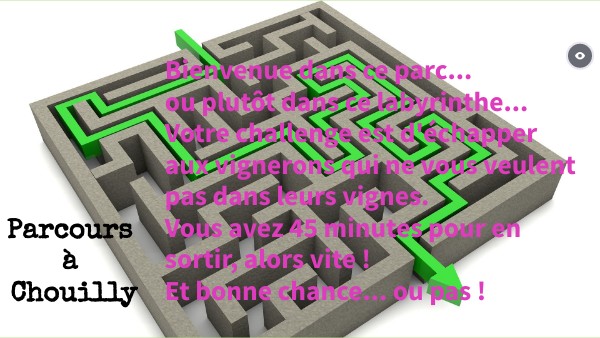 Labyrinthe - Chouilly