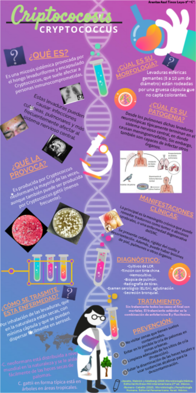 Arantza Azul Tinoco Loyo-Criptococosis-3C | Genially