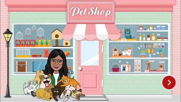 1° e 2° anos FIND THE PETS