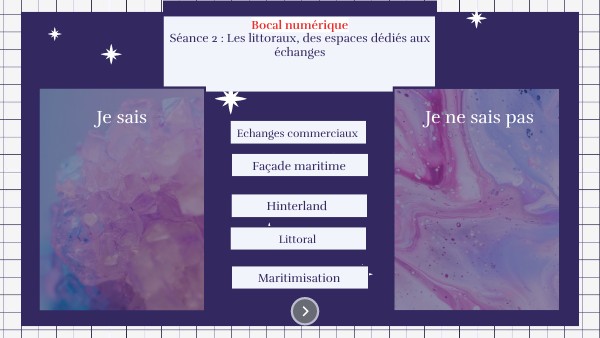Séance 2 : Les littoraux, des espaces dédiés aux échanges | Genially