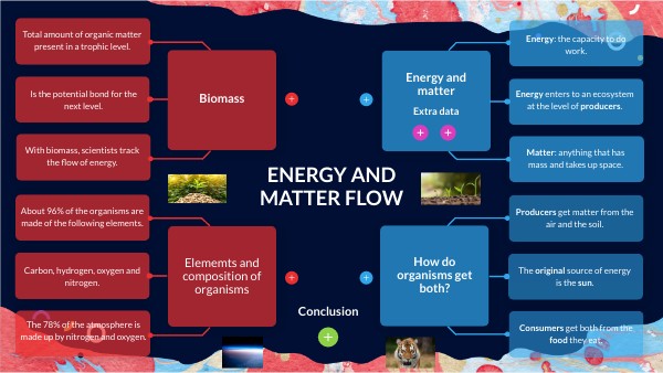ENERGY AND MATTER FLOW | Genially