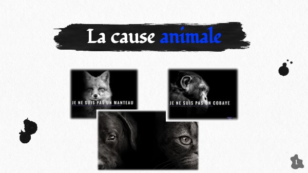 Présentation Cause animale | Genially