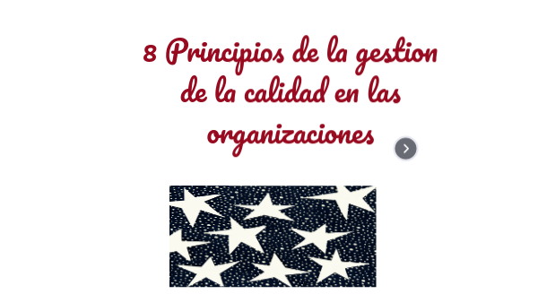 8 Principios de gestion de calidad