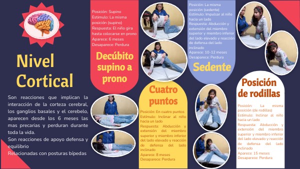 REFLEJOS NIVEL CORTICAL | Genially