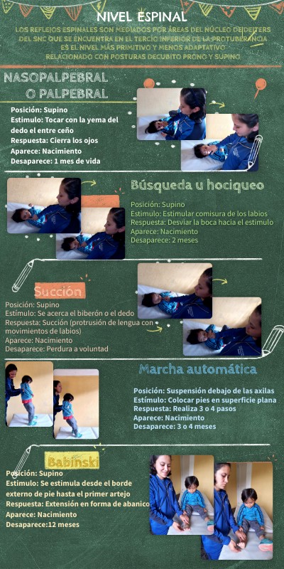 REFLEJOS NIVEL ESPINAL | Genially