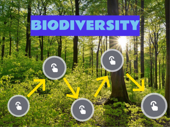 How do biodiversity works?