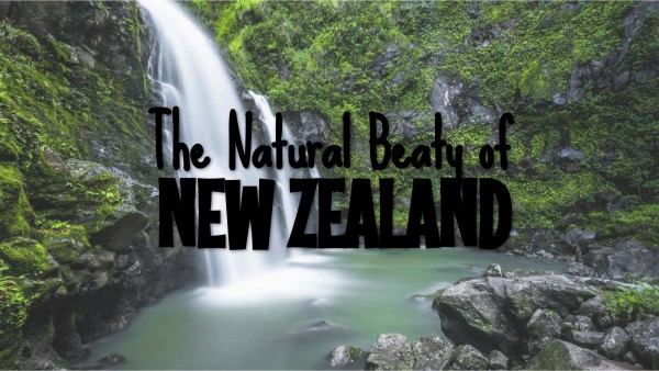 The Natural Beauty of New Zealand Zealand