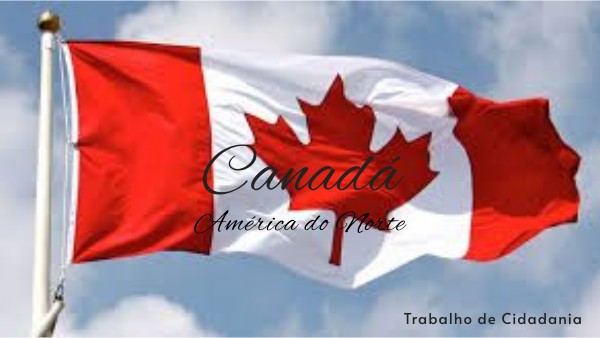 BASIC DOSSIER | Genially