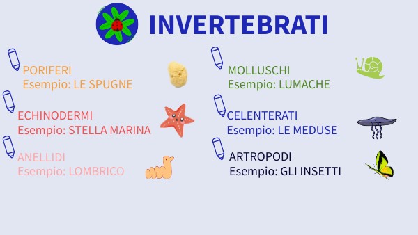 INVERTEBRATI