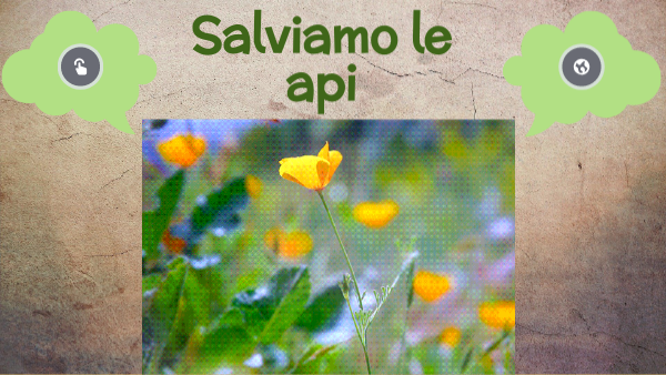 Salviamo le api