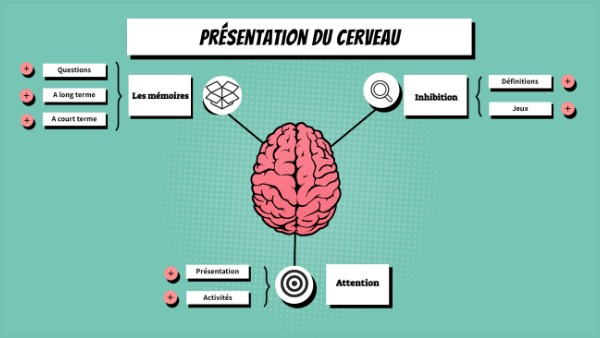 Présentation cerveau | Genially