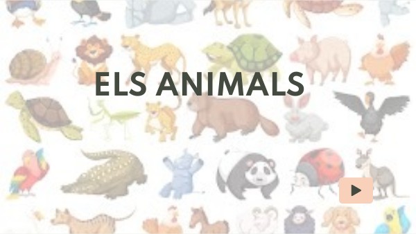 ELS ANIMALS DE 1r | Genially