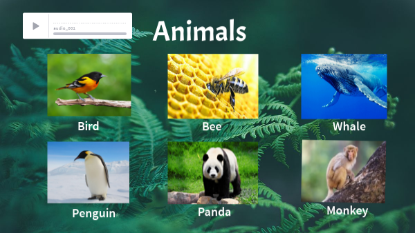 Animals - habitats