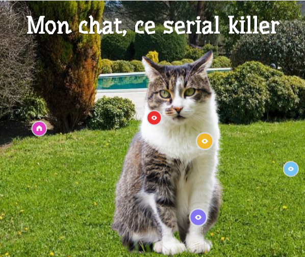 Mon chat, ce srerial killer | Genially