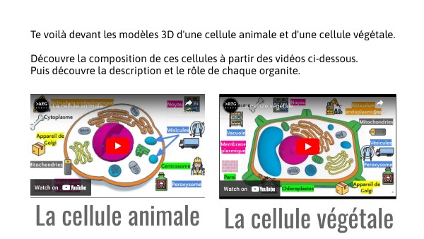 La cellule | Genially