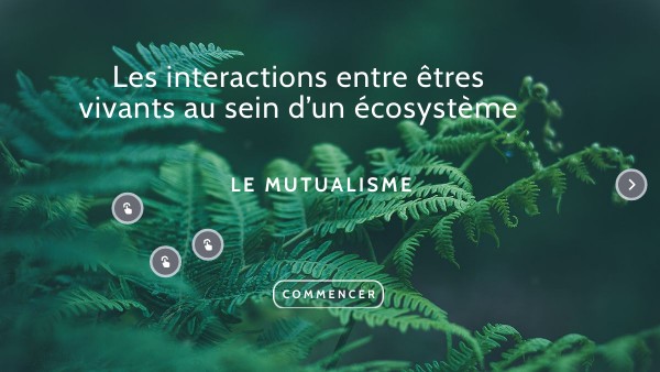 Les interactions entre êtres vivants au sein d’un écosystème | Genially