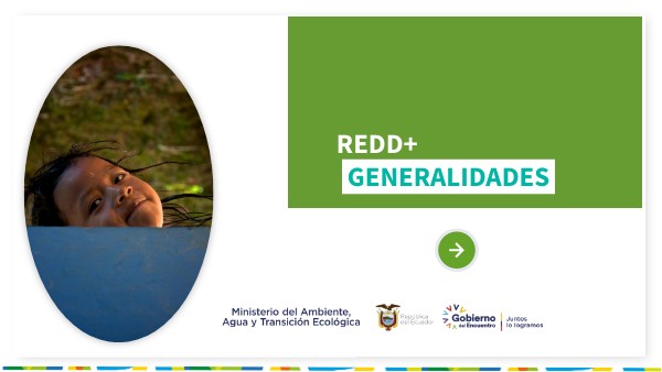 REDD+ GENERALIDADES | Genially