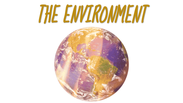 The Envirorment