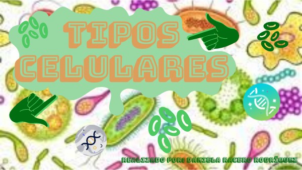 TIPOS CELULARES - Daniela Racero Rodríguez