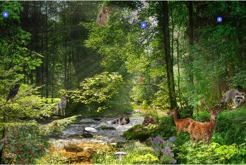 Interactive Forest Ecosystem | Genially