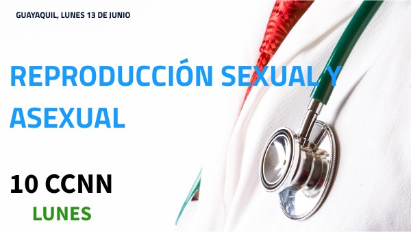 10CCNN 13 Y 14 DE JUNIO | Genially