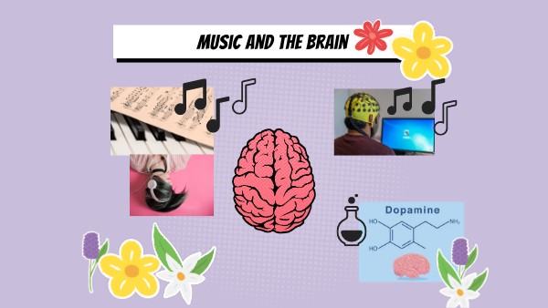 Music and the brain