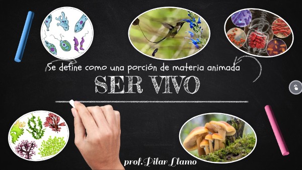 Primer Genially | Genially