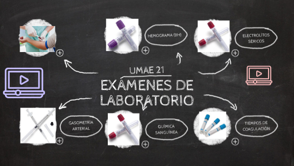 Exámenes de laboratorio | Genially