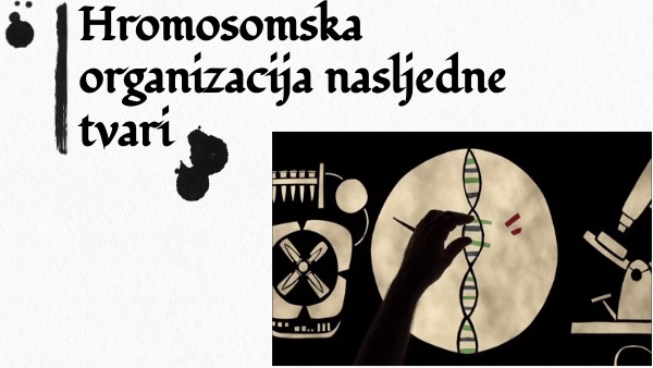 Hromosomi